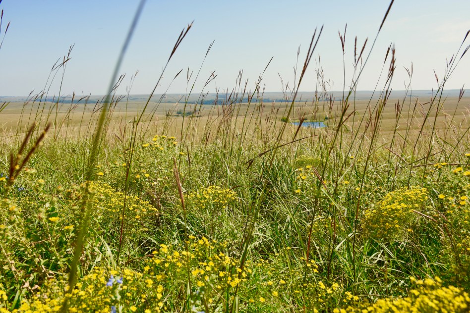 A Road trip through the flint hills of kansas: Part One | Off The ...